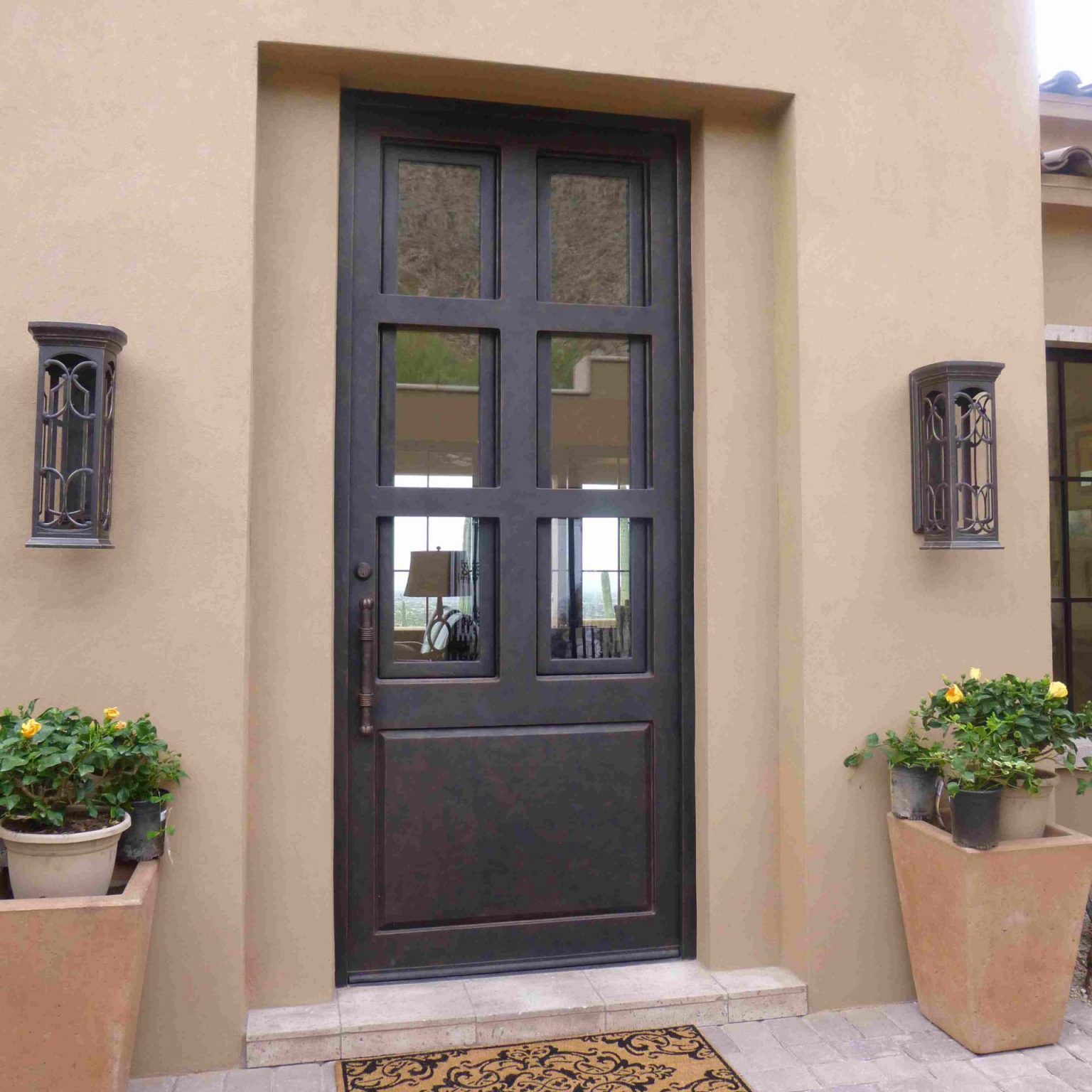 Transitional Doors - VisionMakers