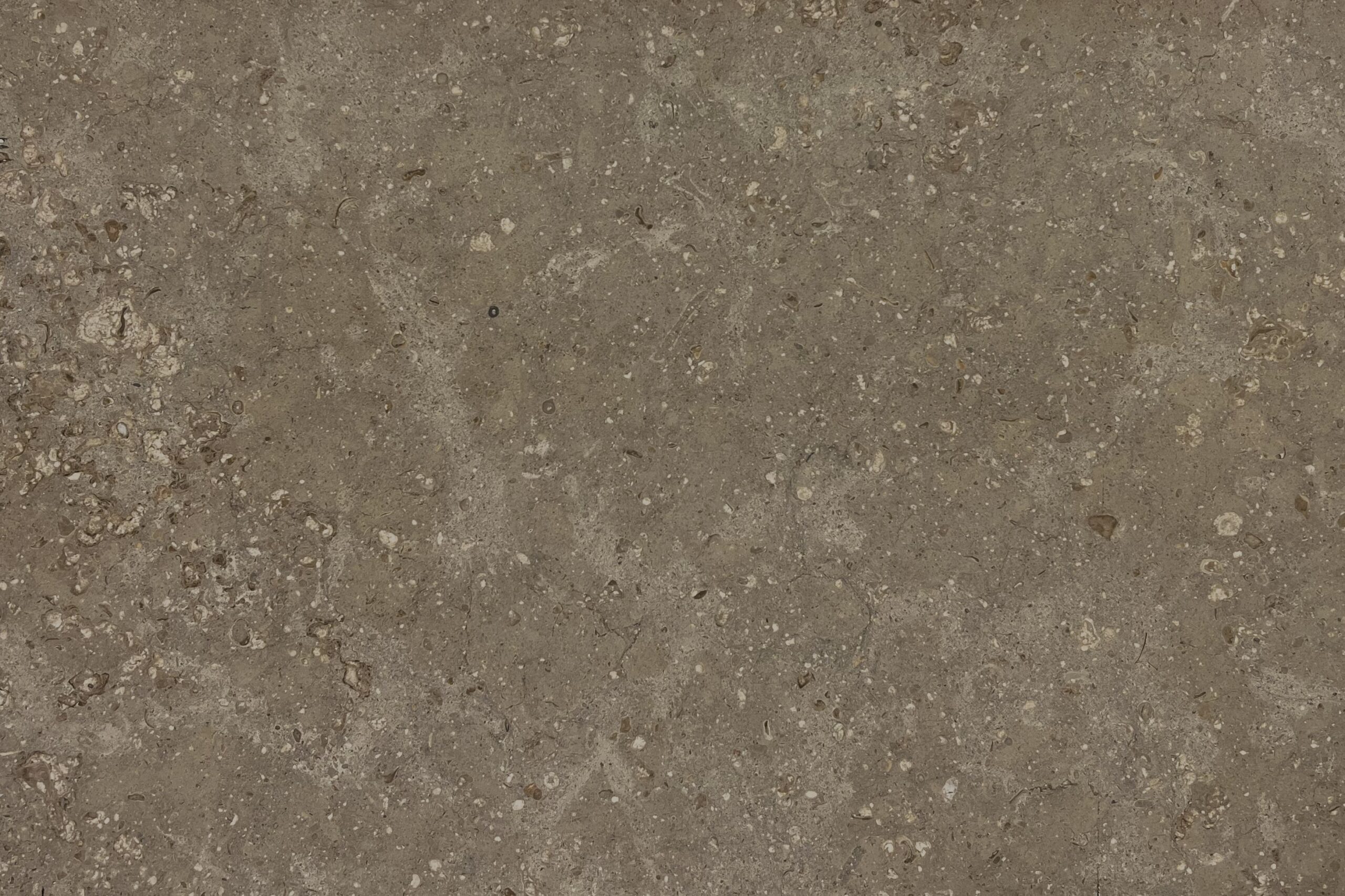 Anchor Gray - VisionMakers